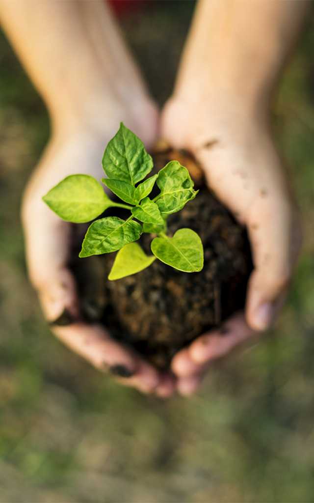 About Us | Frabelle Properties